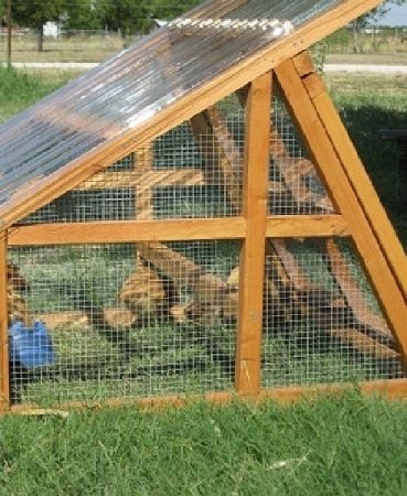 Duck Coop For Sale - VisualHunt
