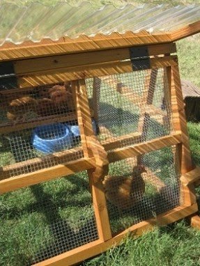 Duck Coop For Sale - VisualHunt