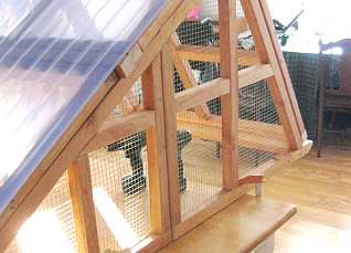 Duck Coop For Sale - VisualHunt
