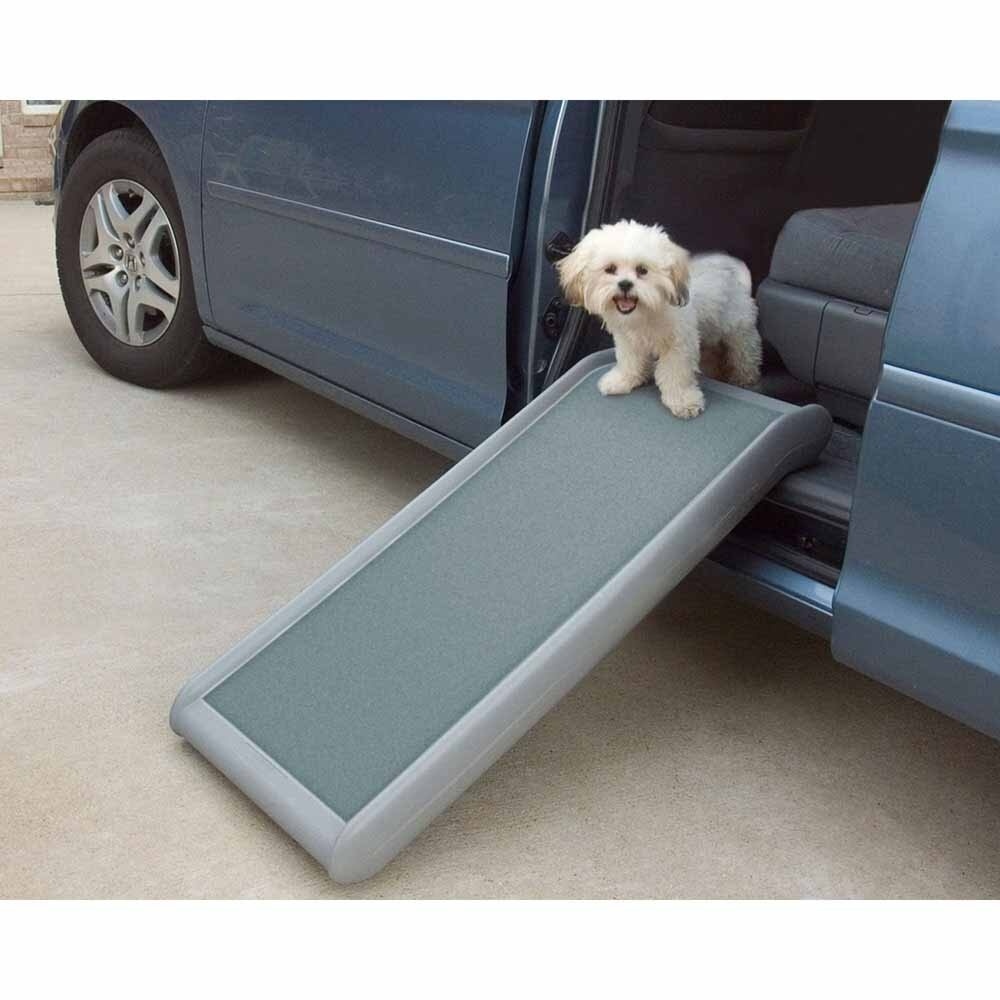 Outdoor Dog Ramp - VisualHunt